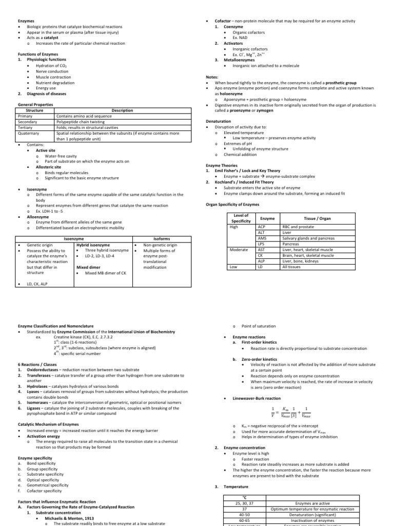 02 Enzymes | PDF | Enzyme | Cofactor (Biochemistry)