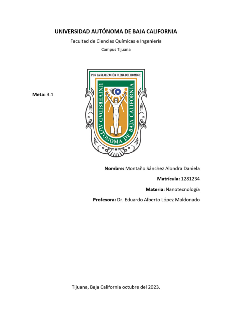 Meta 3.1 Nano | PDF | Química | Nanomateriales