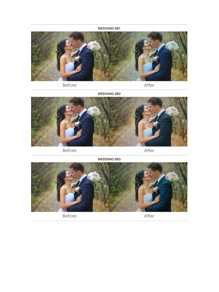 Wedding Color Corrections Preview | PDF