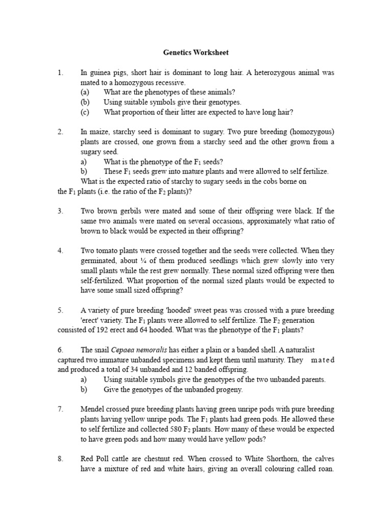 Biology Study Guide 2 | Download Free PDF | Genotype | Zygosity