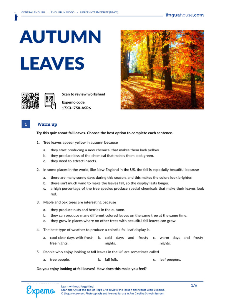 Autumn Leaves: Vocabulary & Activities | PDF | Poetry | Vocabulary