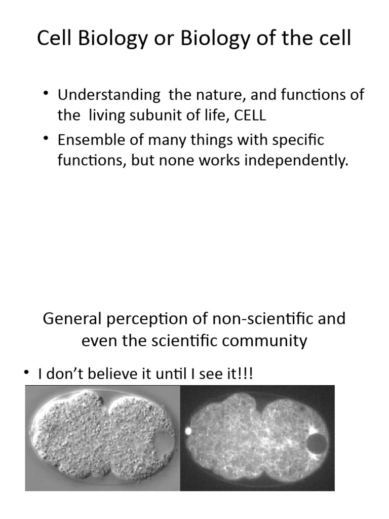 Lecture Introduction | Download Free PDF | Cell (Biology) | Sexual ...