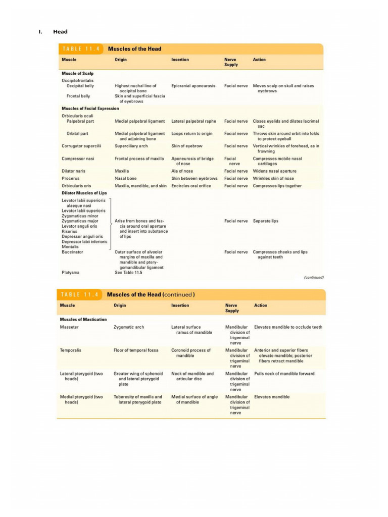 Oina Compilation | PDF