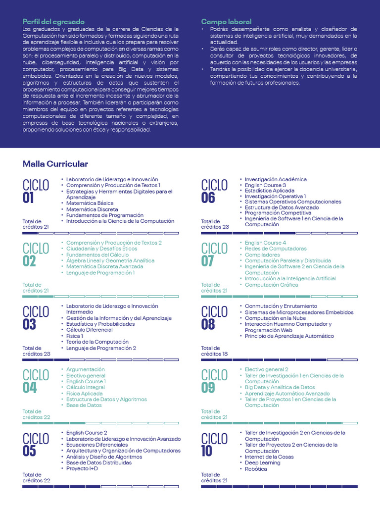 Flyer - Ciencia - de - La - Computacion | PDF | Ciencias de la ...