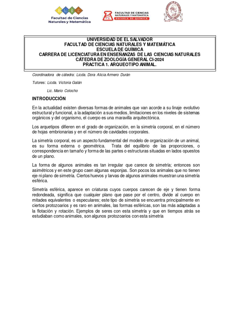 Animales y su Simetría Corporal | PDF | Simetría | Zoología