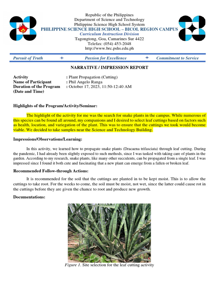 Narrative Impression Report, Ranga | PDF | Plants | Botany