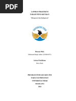 Morfologi Dan Anatomi Kepiting | PDF