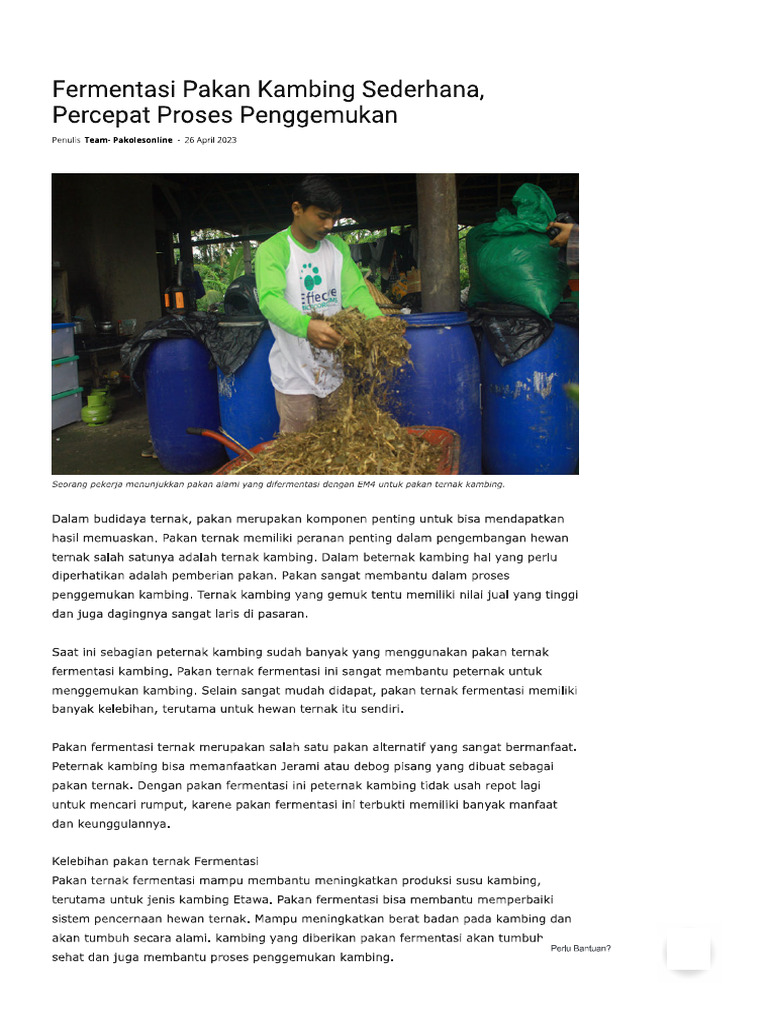 Fermentasi Pakan Kambing Sederhana, Per... T Proses Penggemukan - Pak Oles Online | PDF