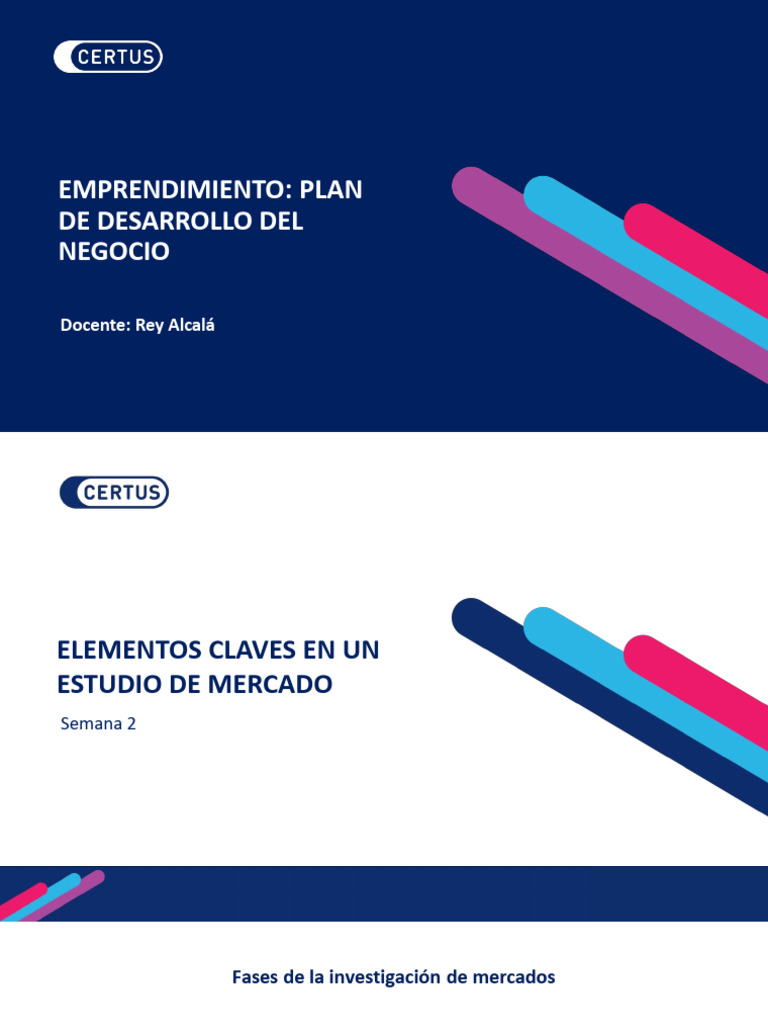 Semana 2 - Ppt2 Final | PDF | Investigación de mercado | Investigación cuantitativa