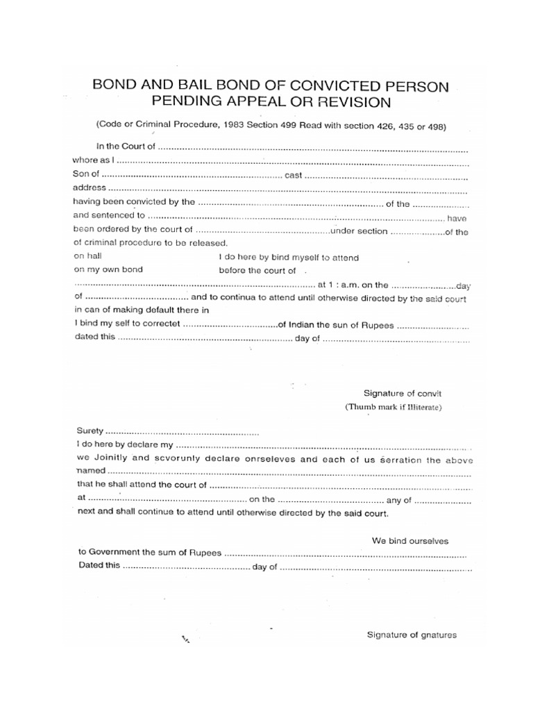 Bail and Bail Bond Format-1 | PDF