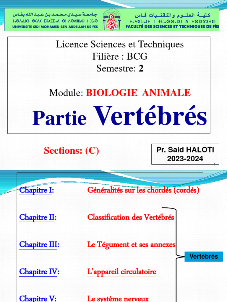 Généralités sur les chordés et vertébrés | PDF | Biologie | Zoologie
