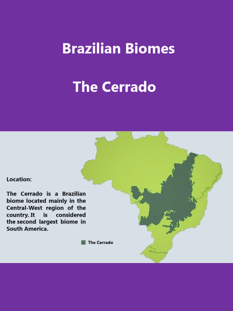 Cerrado | PDF | Technology & Engineering