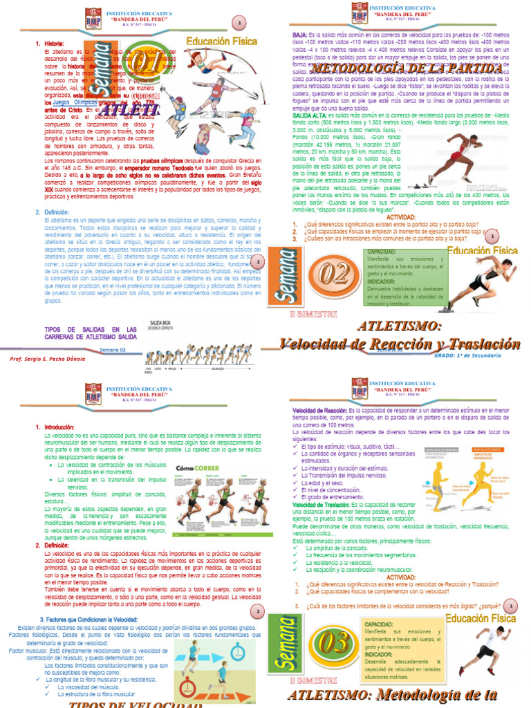 Separata de Ateltismo | PDF | Músculo | Nervio