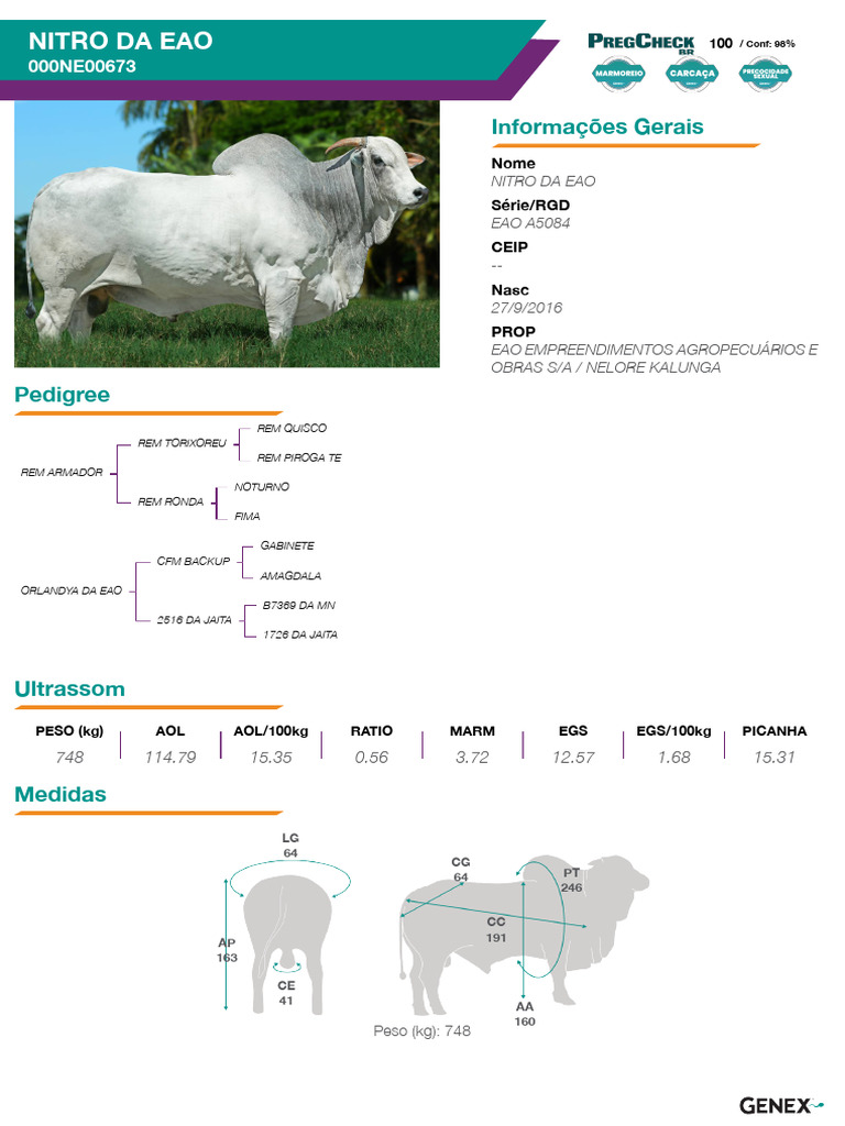 000ne00673 - Nitro Da Eao | PDF