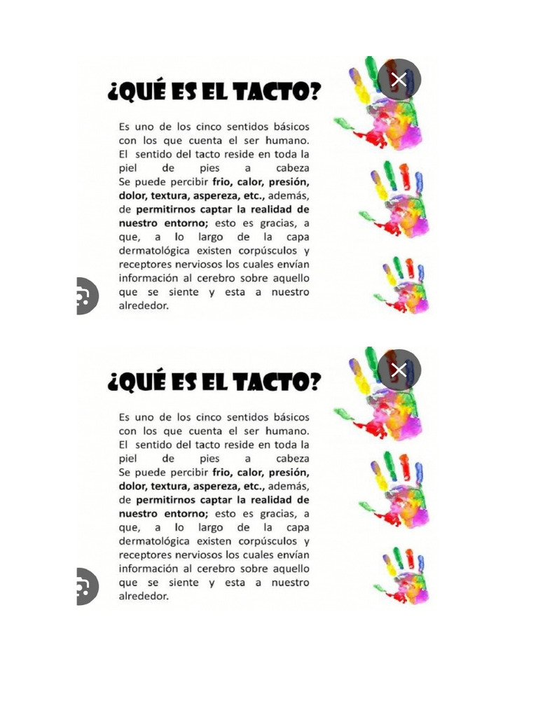 El Sentido Del Taco 3 | PDF