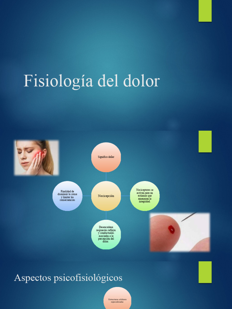 Fisiología Del Dolor | PDF | Dolor | Tálamo