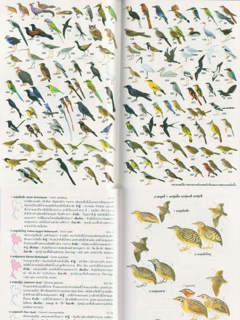 Emailing Thai Bird Guide Ed2 | PDF