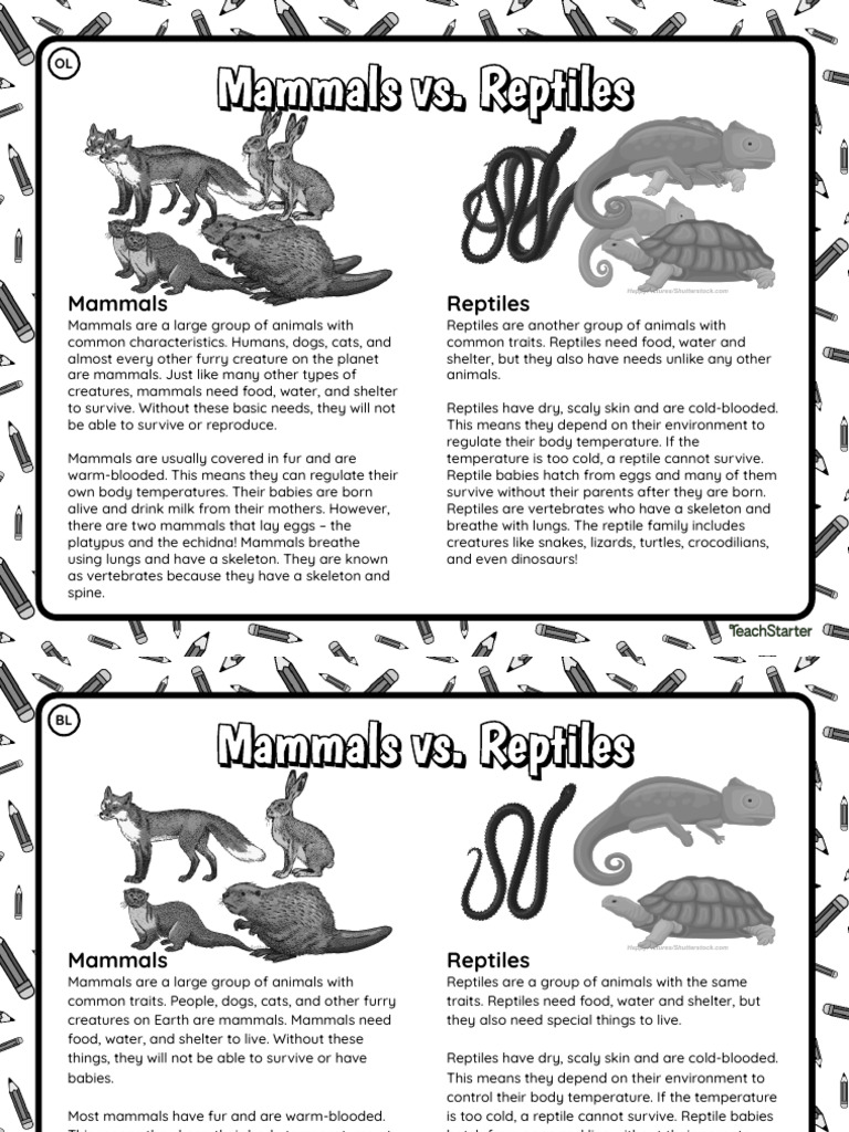 Mammals Reptiles | Download Free PDF | Reptile | Mammals