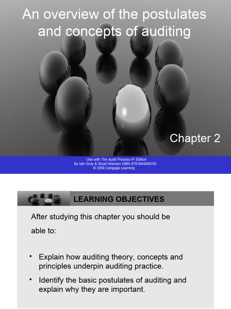 Chapter 2 | PDF | Audit | Theory