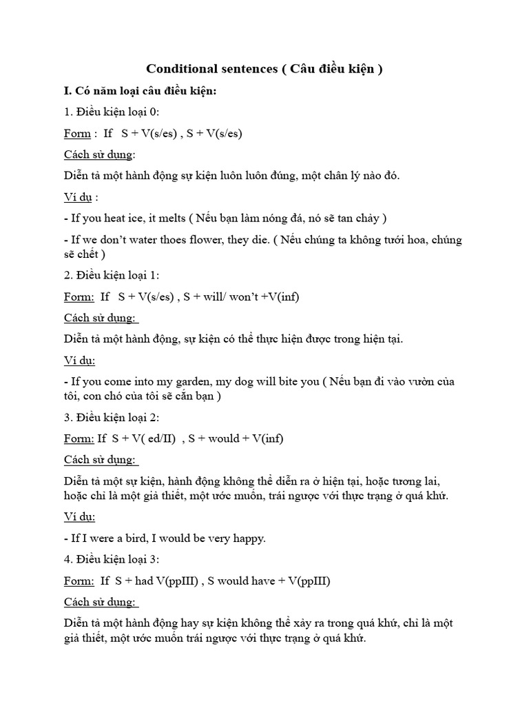 Understanding Conditional Sentences | PDF