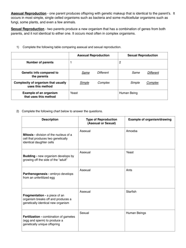 Sexual and Asexual Reproduction Worksheet | PDF | Sexual Reproduction ...