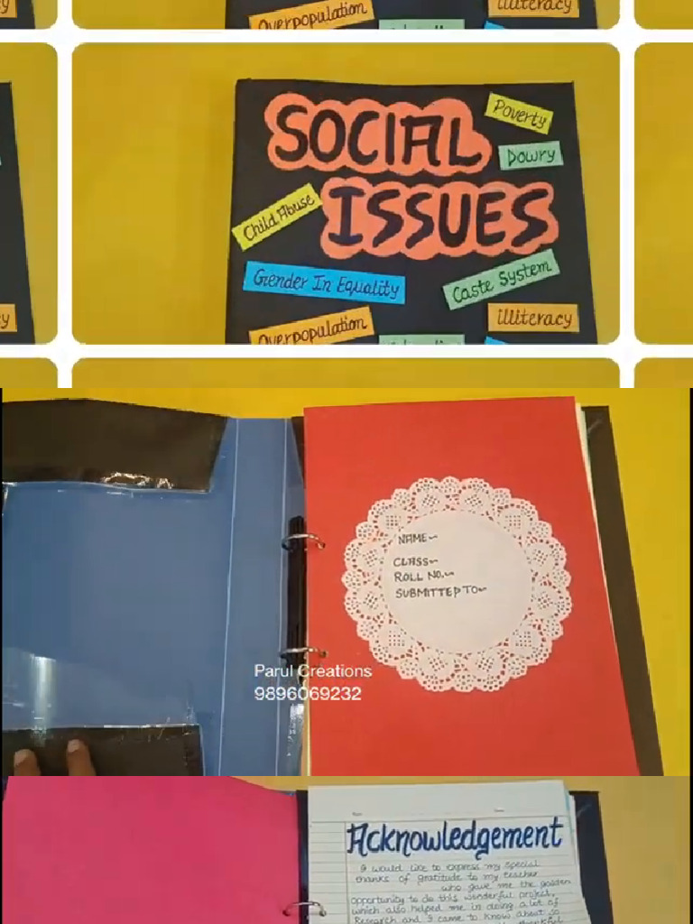 Class 10th Social Studies Project | PDF