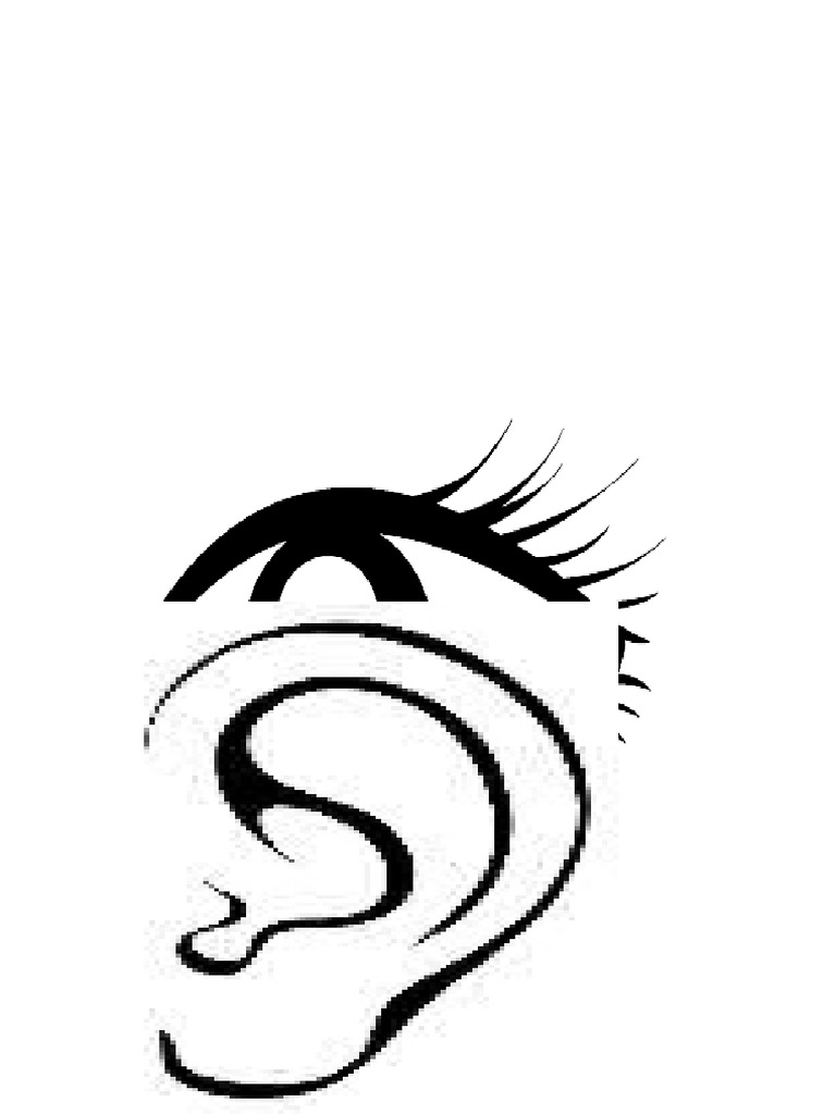 Organ Memerhati | PDF