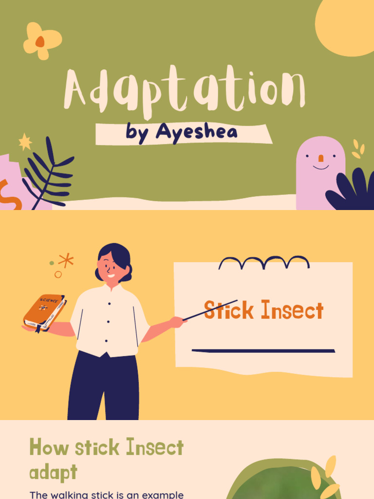 Adaptation | PDF | Fur | Owl