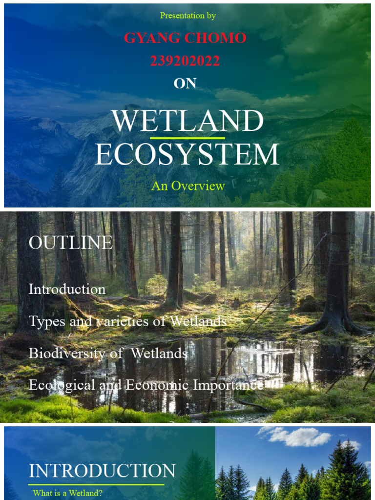 A Presentation On Wetlands Ecosystem | PDF | Wetland | Swamp