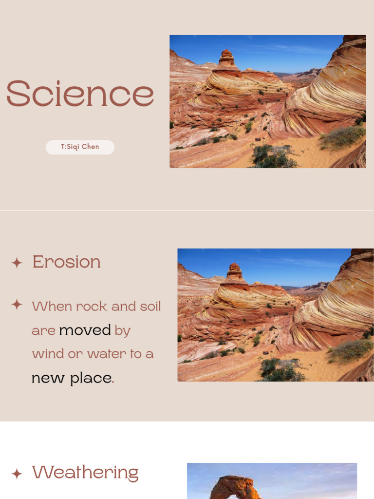 Science Review g2 | PDF