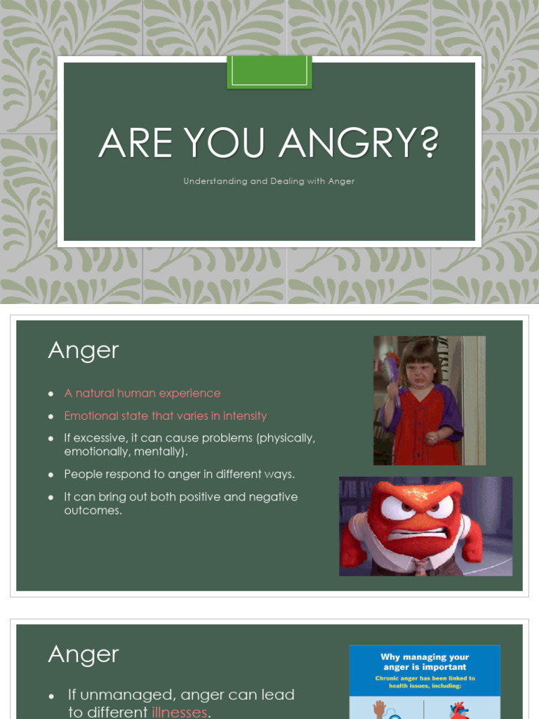 Anger Management | PDF | Anger | Emotions