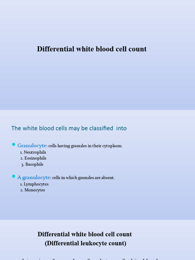 Differential White Blood Cell Count | PDF | White Blood Cell | Granulocyte