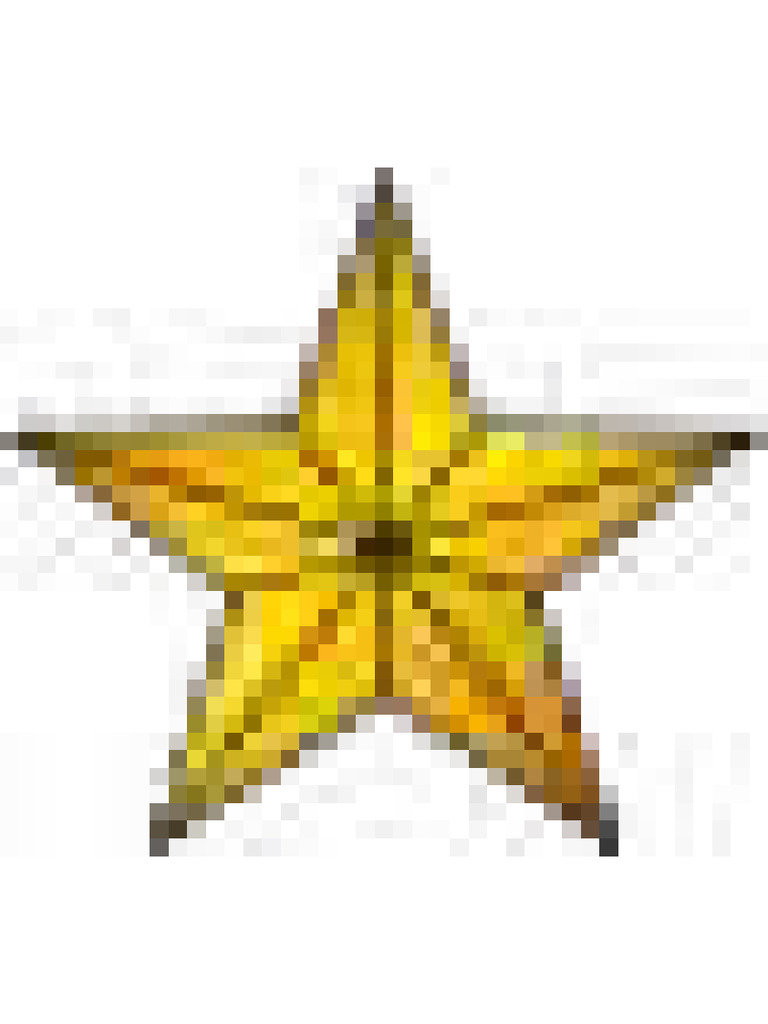 Commander SFPD | PDF