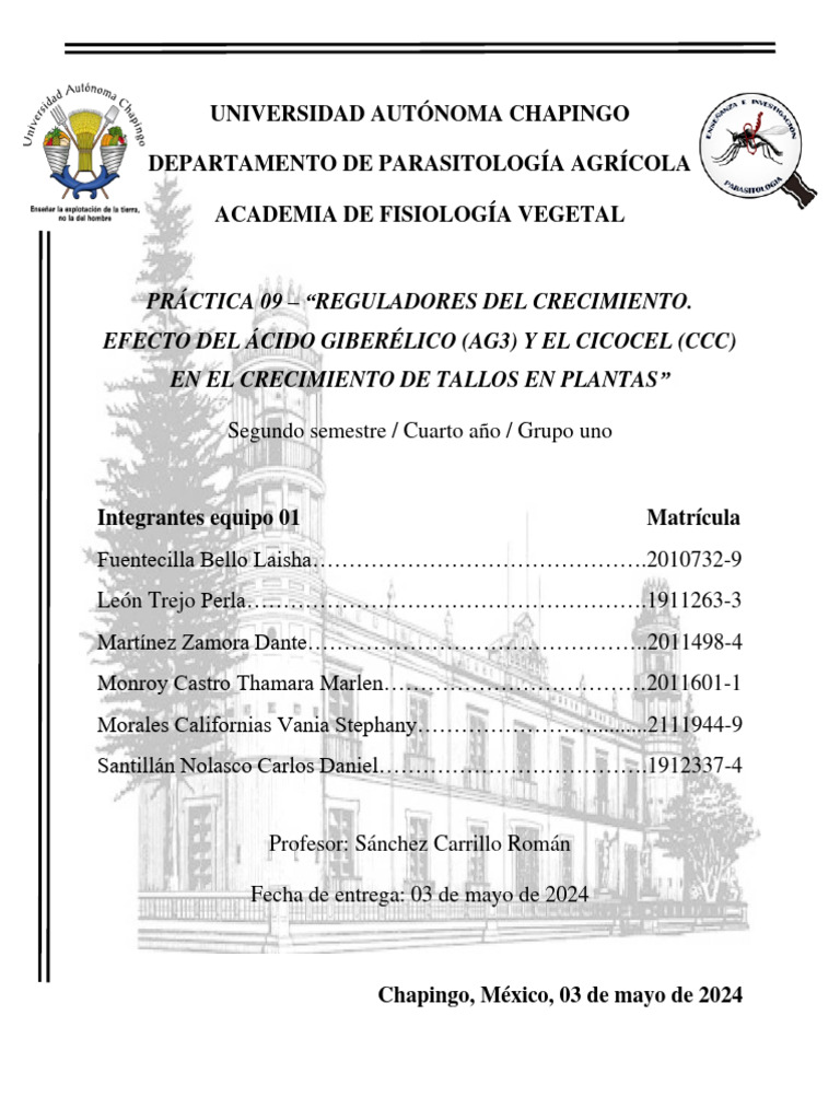 Práctica 09 – Reguladores Del Crecimiento. | PDF | Hormona Vegetal ...