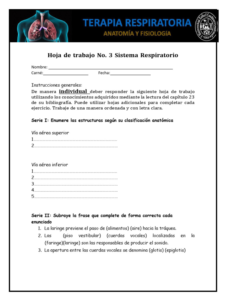 Hoja de Trabajo No 3 Sistema Respiratorio | PDF | Pulmón | Respiración