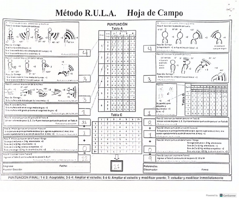 método RULA y ERIN ( aseadores)-1 | PDF