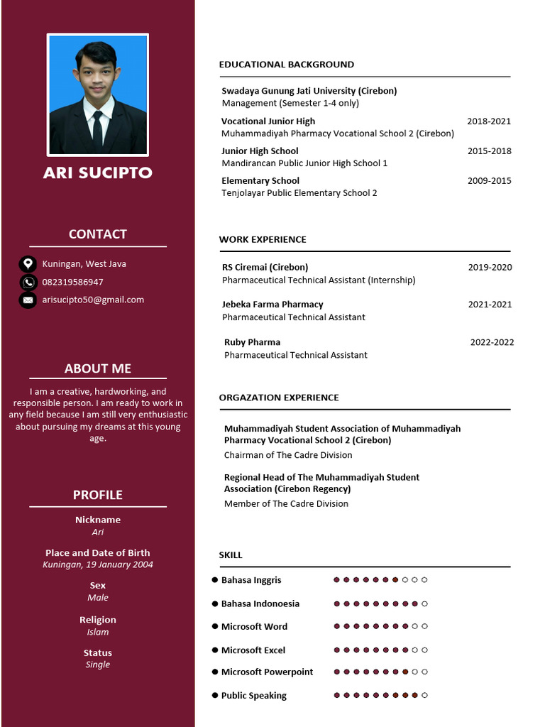 CV Ari Sucipto (English) | PDF