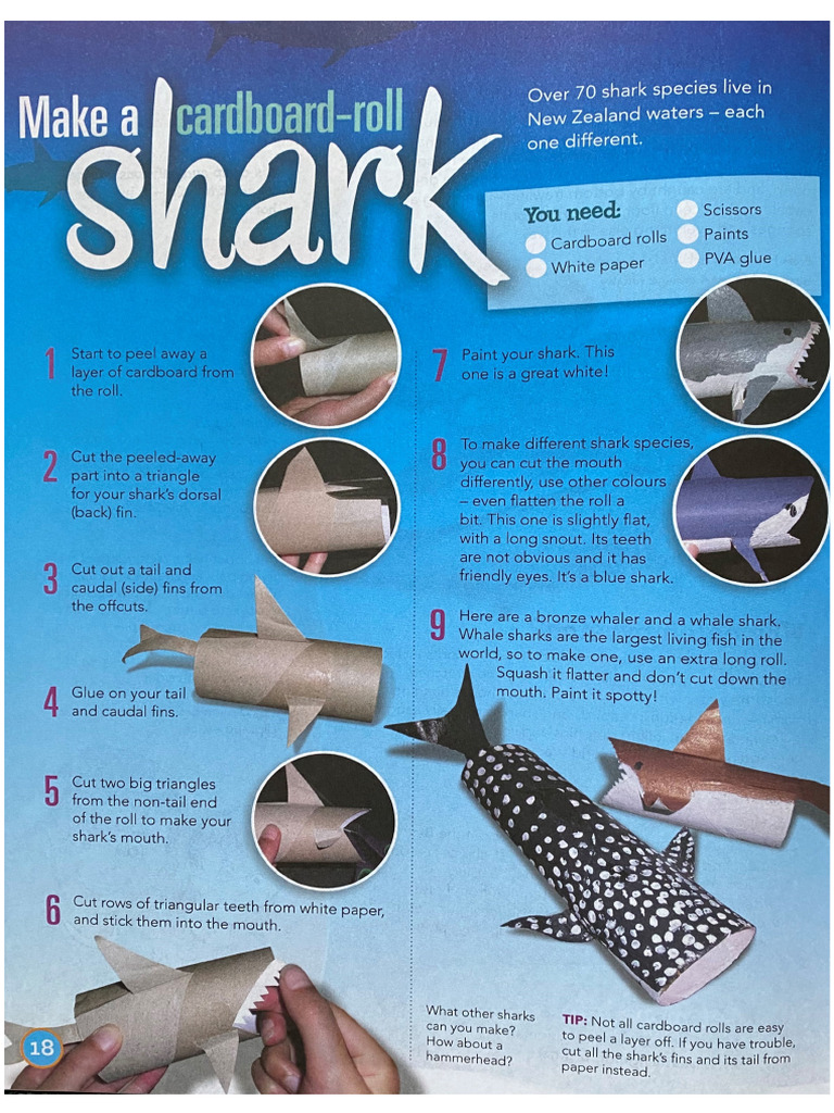 Cardboard Roll Shark | PDF