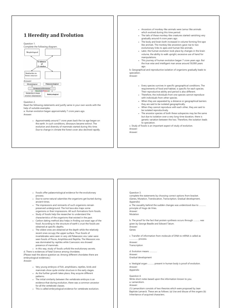 Heredity and Evolution Question Answer | PDF | Translation (Biology ...