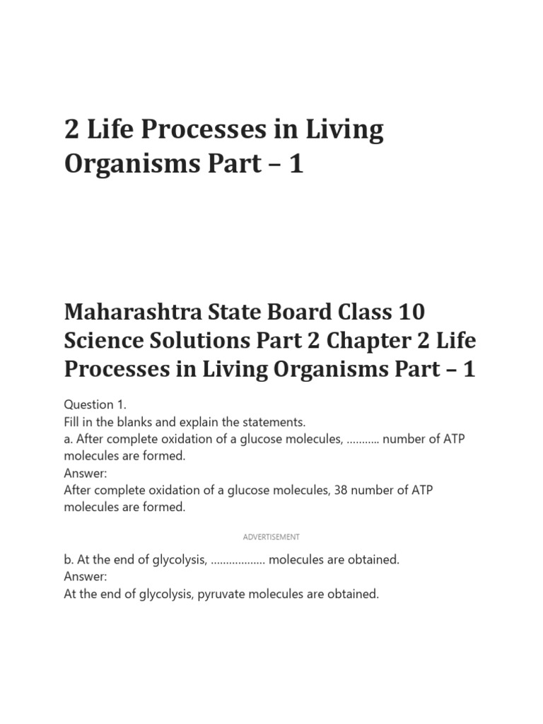 Science Part 2 CHP 2 | PDF | Meiosis | Cellular Respiration