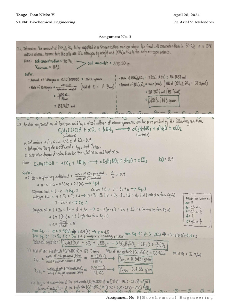 Tongo - Assignment No 3 | PDF