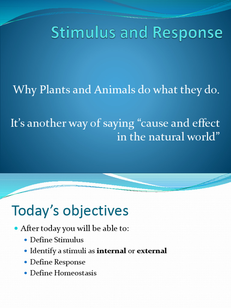 Stimulus and Response Powerpoint | PDF | Homeostasis | Stimulus ...
