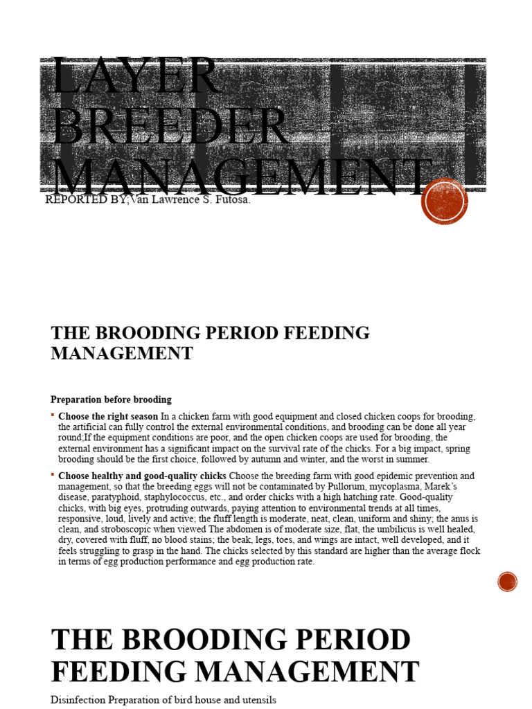 Futosa Van Lawrence s. Layer Breeder Management | PDF | Chicken ...