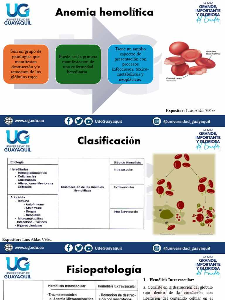 Anemia Hemolítica: Tipos y Diagnóstico | PDF | Anemia | Causas de la muerte