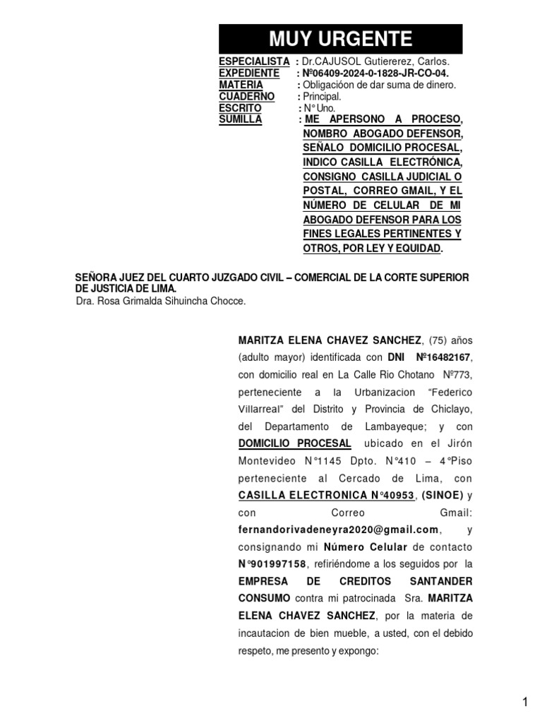 Apersonamiento de Sra. Maritza Elena Chavez Sanchez - 20-03-2024 - Incautacion - Lima PDF | PDF ...
