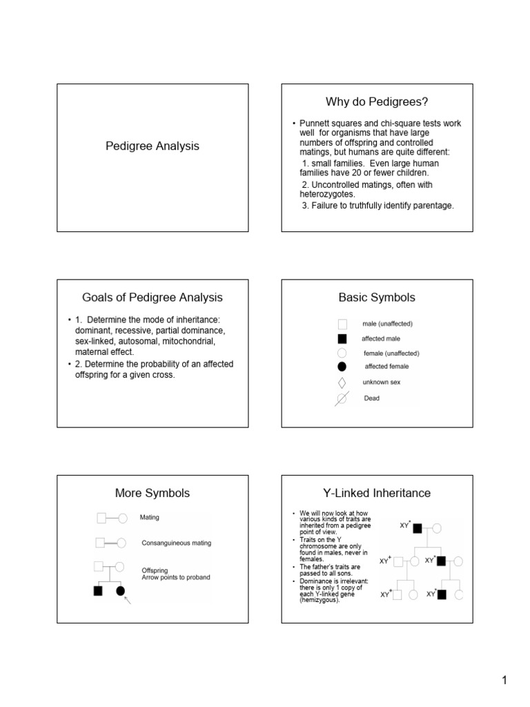 Pedigree Analysis Notes Pdf Dominance Genetics Zygosity