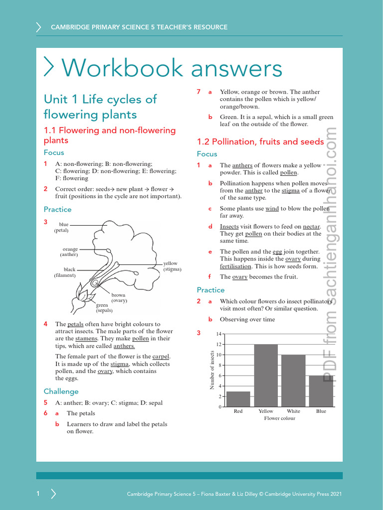 WB ANSWERS STAGE 5 Cambridge Primary Science | PDF | Flowers | Friction