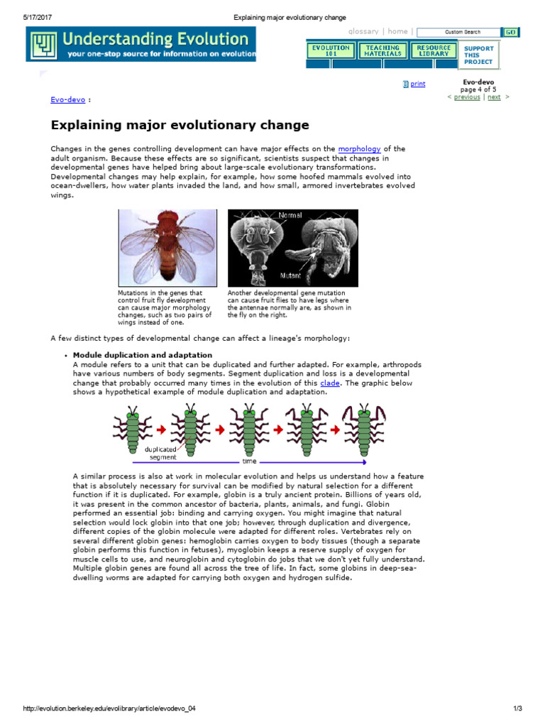Explaining Major Evolutionary Change Pdf Evolution Gene Duplication