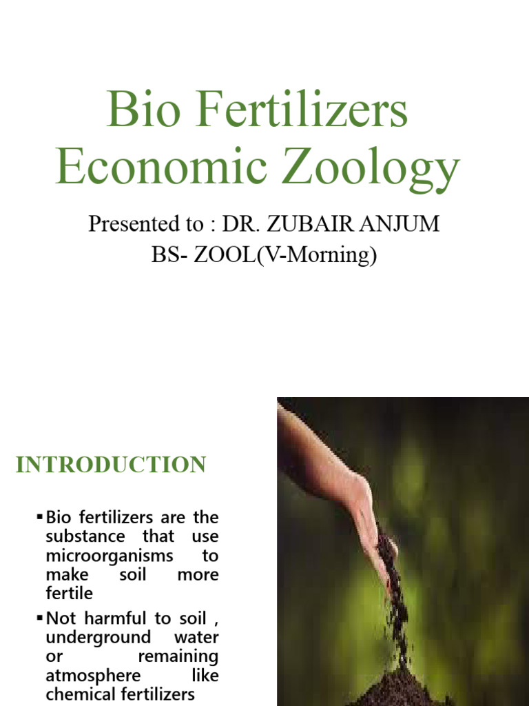 Bio Fertilizers: Types and Benefits | PDF | Fertilizer | Soil
