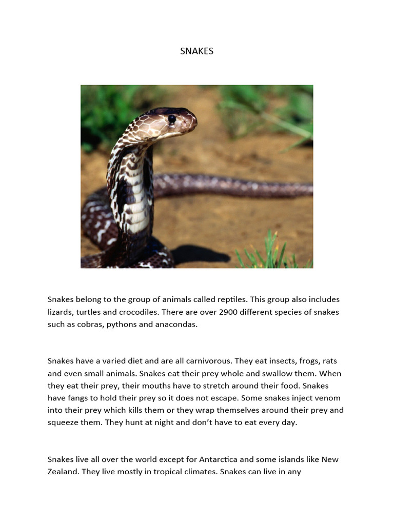 Essential Facts About Snakes | PDF | Snake | Venom